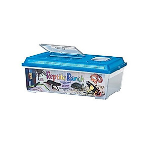 Lee's Reptile Ranch, Large, Rectangle with Lid, Colors may Vary