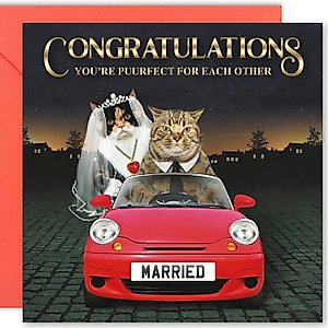 Cult Kitty - Cat Congrats, You Got Married - Just Married Card - Cute Wedding Card for Bride and Groom - Funny Wedding Card Congratulations for Him & Her - Beautiful Wedding card for Couple