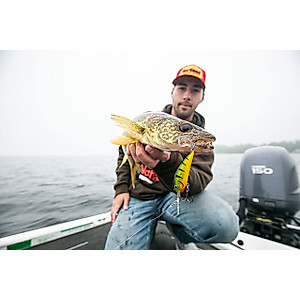 Northland Tackle Rumble Shad Fishing Lure - Freshwater Bait for Bass, Trout, Walleye, Crappie, and Many Other Fish - Stainless Steel Hook - Perfect Gear for Any Kit (Lemon Tiger, 3.25", 5/8 Oz)