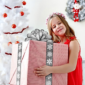 Canlierr 2 Rolls 12 Yard 2.5 Inch Christmas Snowflake Ribbon Christmas Wired Ribbons for Wreath Fabric Polyester Decorative Ribbons Gift Wrapping Ribbon for Christmas Tree Party Decoration(Gray)