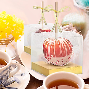50 Sets 4 x 4 x 4 Inches Clear Candy Apple Boxes with Hole, Base, Sticks and Ribbons Transparent Candy Apple Boxes PET Caramel Apple Box Plastic Gift Boxes for Chocolate Apples Party Supplies (Gold)