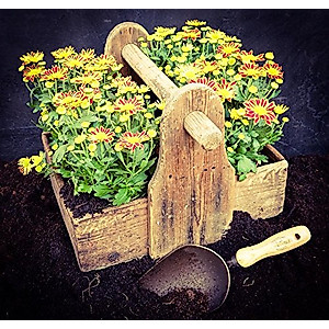 Tierra Garden Dewit Forged Scoop with Ash Handle