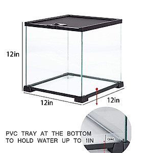 REPTIZOO Small Glass Tank 8 Gallon, Top Opening Terrarium 12" x 12" x 12" Leopard Gecko Tarantula Young Lizard Hermit Crab Frog Insects Breeding Tank