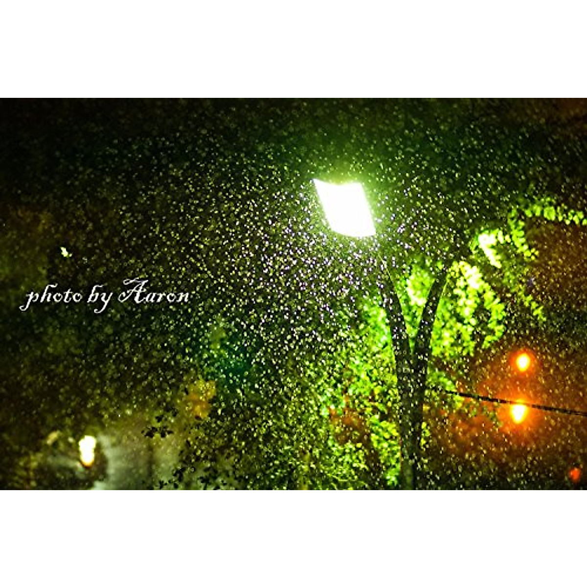 Lightdow 85mm F1.8 Medium Telephoto Manual Focus Full Frame Portrait Lens for Canon EOS Rebel T8i T7i T7 T6 T3i T2i 4000D 2000D 1300D 850D 800D 600D 550D 90D 80D 77D 70D 50D 6D 5D etc