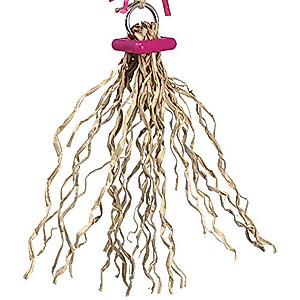 Bonka Bird Toys 00559 Polly Preener Small Bird Toy