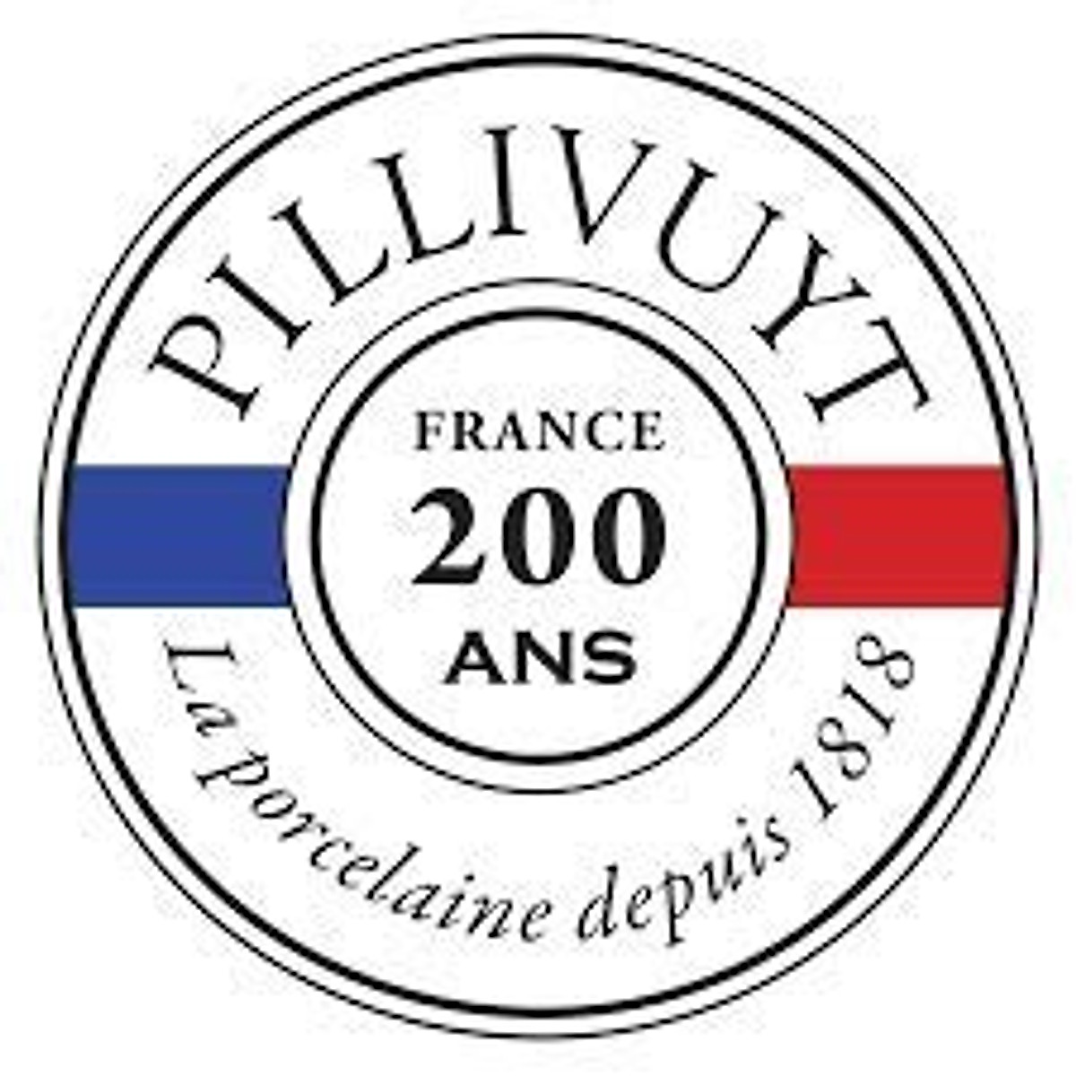 Pillivuyt, Classic White Porcelain French Onion Soup Bowl, with Ears, Imported from France, Oven to Microwave to Table