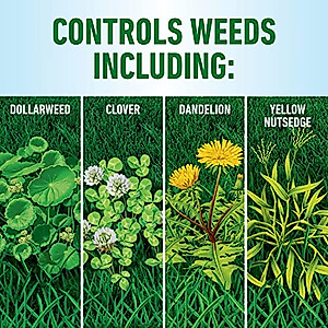 Roundup for Lawns₄ Refill (Southern) - All-in-One Weed Killer for Lawns, 1 gal.