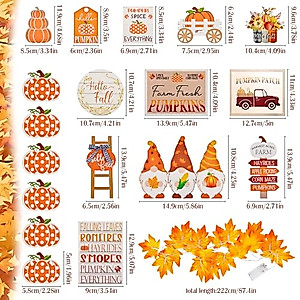 Harvest Fall Tiered Tray Decor with Lights - 19 Pcs Set Includes Gnome Signs, Leaves Garland, Pumpkin for Home Table