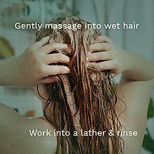 The Body Shop Banana Truly Nourishing Shampoo, 13.5 Fluid Ounce