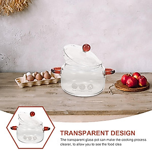 Hemoton Clear for Cooking On Stove Glass Saucepan with Cover Stovetop Cooking Pot Glass Cookware Simmer Pot for Pasta Noodle, Soup, Milk, 0.45L