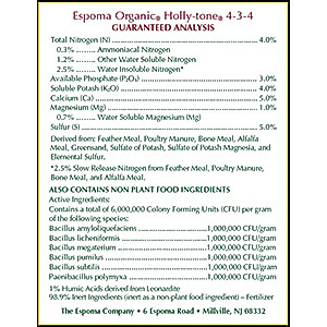Espoma Organic Holly-Tone 4-3-4 Natural & Organic Evergreen & Azalea Plant Food; 4 lb. Bag; The Original & Best Fertilizer for All Acid Loving Plants Including Rhododendrons & Hydrangeas