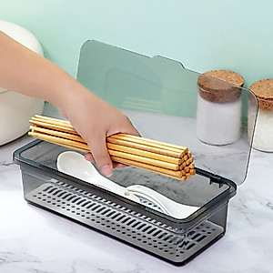 Tofficu 2pcs Chopsticks Storage Box Backflow Preventer Drainer Basket Cabinet Grocery Holder Kitchen Utensils Plastic Storage Drawer Kitchen Storage Case Pp Metallic Line Sink