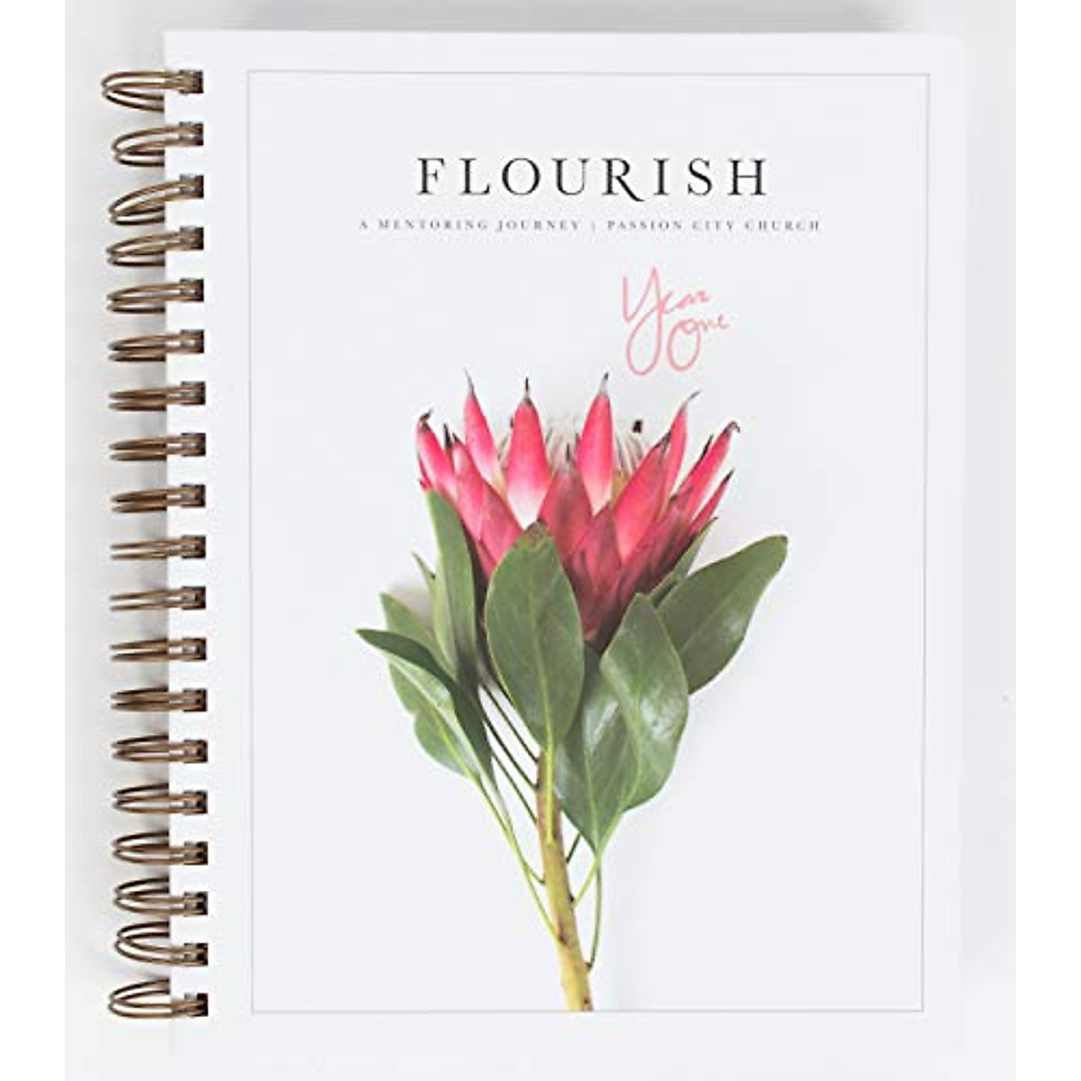 Flourish: A Mentoring Journey - Year One