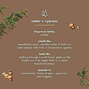 Method Men 2-in-1 Shampoo and Conditioner, Cedar and Cypress, Paraben and Phthalate Free, 14 fl oz, 1 Ct