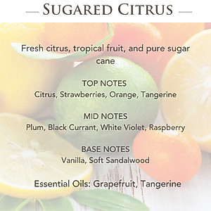 CANDLE WARMERS ETC Illumination Fragrance Warmer Gift Set, White Hobnail with Vanilla Cinnamon and Sugared Citrus