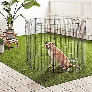 Amazon Basics Foldable Octagonal Metal Exercise Pet Play Pen for Dogs, Fence Pen, No Door, Large, 60 x 60 x 48 Inches, black