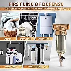 iSpring WSP-50SL Reusable Whole House Spin Down Sediment Water Filter Softener, Includes Siliphos Helps Prevent Scale and Corrosion, 1" MNPT + 3/4" FNPT, 50 Micron