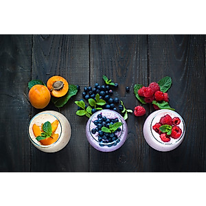 VIVO Immune Yogurt Starter/Natural (5 Boxes) Makes up to 30 quarts of Yogurt