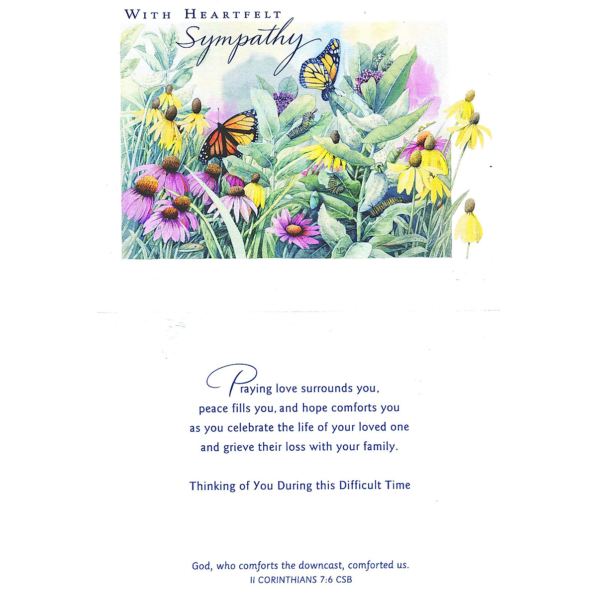 DaySpring - With Heartfelt Sympathy and Prayers - Nature's Blessings By Marjolein Bastin - 4 Design Assortment with Scripture - 12 Boxed Cards & Envelopes (J3355)