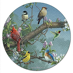 CounterArt Beautiful Songbirds 4mm Heat Tolerant Tempered Glass Lazy Susan Turntable 13" Diameter Cake Plate Condiment Caddy Pizza Server