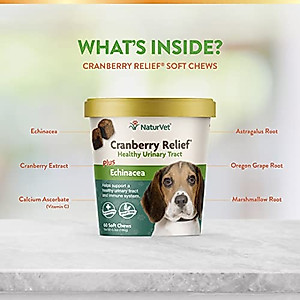 NaturVet – Cranberry Relief Plus Echinacea – Helps Support a Healthy Urinary Tract & Immune System – 60 Soft Chews