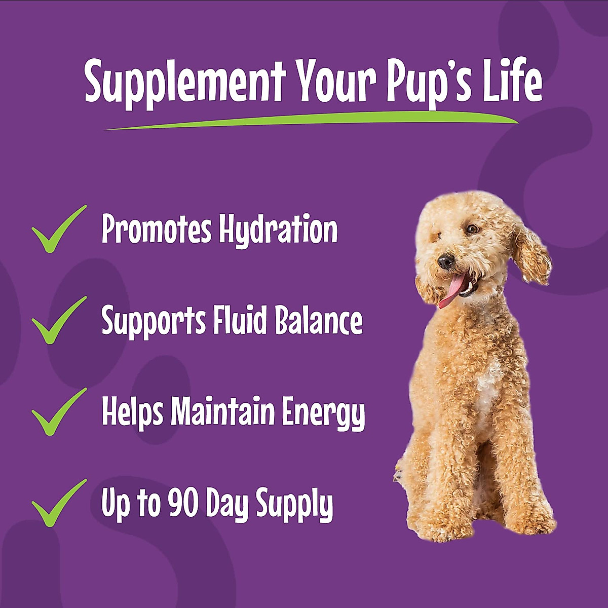 Pawlific Electrolyte Chews for Dogs- Superior Pet Hydration Support, Anti-Diarrhea, and Dog Vitamins | All-Natural Ingredients, Made in the USA | 3-Month Supply for Active Dogs
