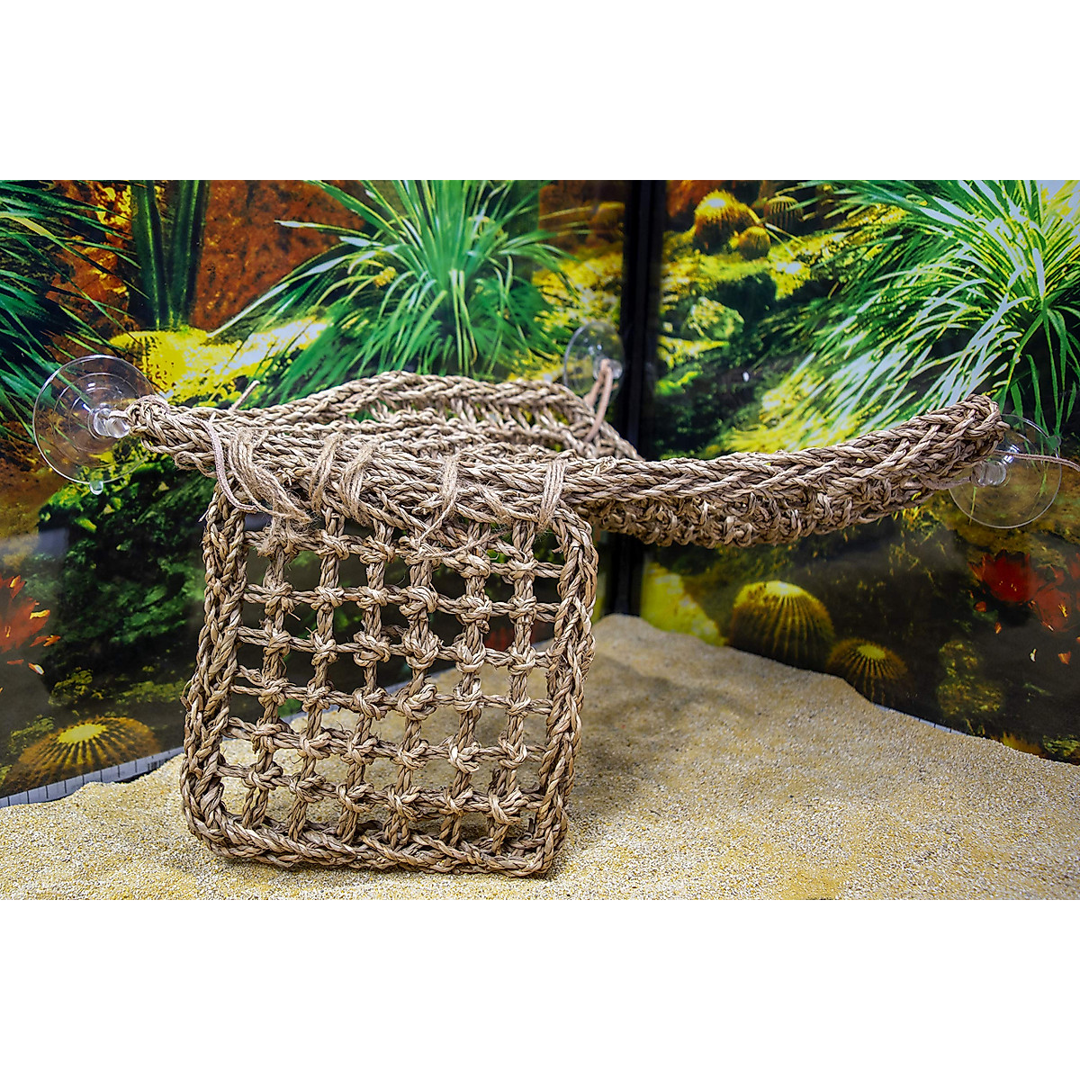 PENN-PLAX Reptology Lizard Lounger Corner Triangle with Ladder– 100% Natural Seagrass Fiber – Great for Bearded Dragons, Anoles, Geckos, and Other Reptiles – Large