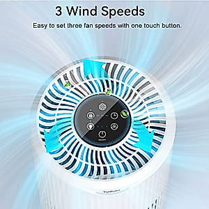 Air Purifiers for Home Large Room Up to 1345 Ft², Tailulu H13 True HEPA Air Filter Purify Smoke Pollen Pet Dander Dust Smell for Bedroom, Kitchen, Air Cleaner with Replacement Filter