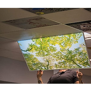 ShadeMAGIC - 4 Pack - Fluorescent Light Covers - 2x4 Film Insert for Ceiling Light Diffuser Panels - Tree Design - Classrooms and Offices - Decorative Lighting