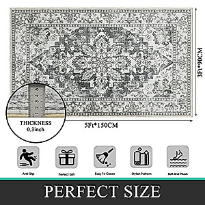Bsmathom Persian Area Rug 3x5, Non-Slip Throw Small Entryway Rug Kitchen Mat, Low-Pile Non-Shedding Oriental Area Rug for Living Room Bedroom Office (Grey, 3x5Ft)
