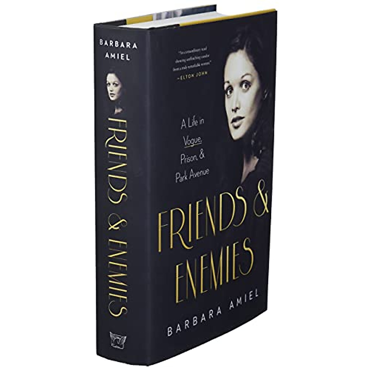 Friends and Enemies: A Life in Vogue, Prison, & Park Avenue