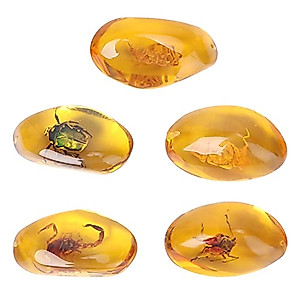 FOMIYES 5pcs Amber Fossil Artificial Amber Samples Stones Crystal Specimens Collection Pendant (Random Pattern)