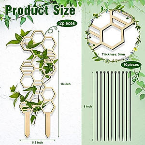 2 Pieces Wooden Small Indoor Trellis Plant Trellis for Climbing Plants Hexagon Trellis for Potted Plants Trellis Vine Supports Garden Trellises with 10 Pieces Black Cable Ties for Plant (Honeycomb)