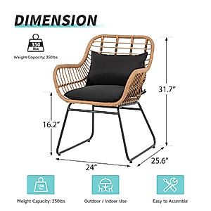 Verano Garden Patio Dining Chair Set of 2, Outdoor Wicker Seating Set with Soft Cushions for Indoor & Outdoor Use, Modern Wicker Dining Chairs for Backyard