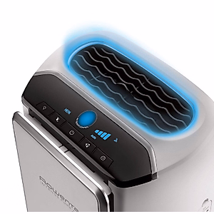 Rowenta XD6066 Active Carbon Filter Odor Eliminator for PU6020 and PU6010 Intense Pure Air XL Purifier