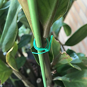 VIMOA Garden Twine 164 Feet Garden Twist Ties with Cutter for Plants, Vines and Wrapping Cords Christmas Tree Tie