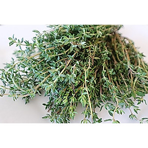 Gaea's Blessing Seeds - Thyme Seeds - Non-GMO - with Easy to Follow Planting Instructions - Herb Thymus Vulgaris 350mg 90% Germination