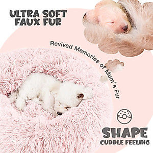 Himax Dog Beds for Small Dogs&Cats, Comfort Dog Bed with Blanket Attached, Calming Anti-Anxiety Fluffy Dog Bed Washable (20"/26"/35") Pink