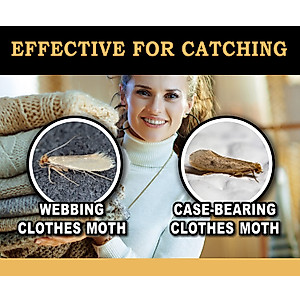 MaxGuard Clothes Moth Traps (12+2 Free Traps) Extra Strength Pheromones | Non-Toxic Sticky Glue Trap for Closets and Carpet Moths | No Mothballs | Lure, Trap and Kill Case-Bearing Webbing Moths |