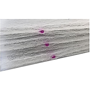 RayAir Supply 20x25 PremierOne PureFlo P6100 Replacement Filter Pads MS-2025 (3 Pack) WHITE