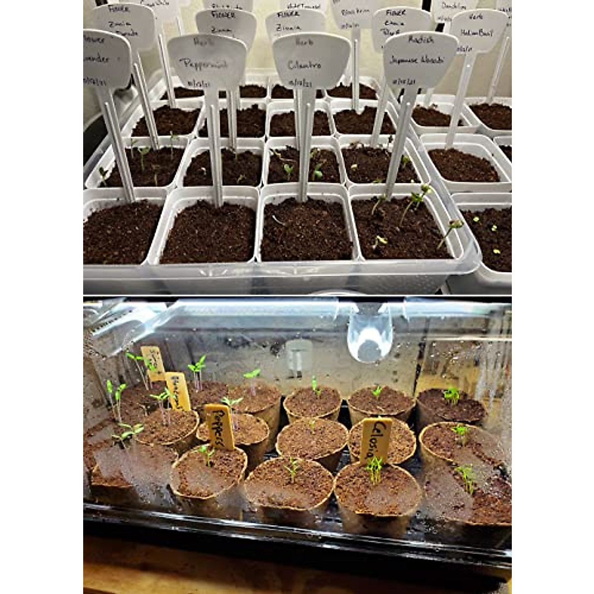 30 QT Professional Grade Horticultural Organic Vermiculite (30 QT, Vermiculite)