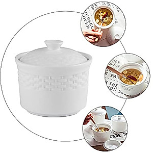 Operitacx Ceramic Stew Pot with Lid and Spoon Japanese Small Steam Soup Bowl Steaming Cup Serving Dish Seasoning Jar for Cereal Rice Chili Beef Stew Medicinal Birds Nest Egg Custard Appetizer