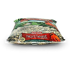 Kaytee Northeast Regional Wild Bird Blend, 7-Pound Bag