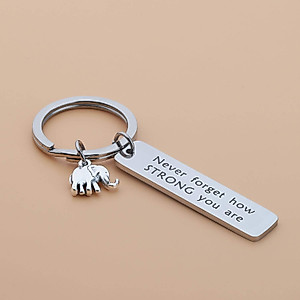 bobauna Elephant Keychain Don't Forget How Strong You Are Strength Jewelry Uplifting Gift For Friend Family Animal Lovers (never forget keychain)