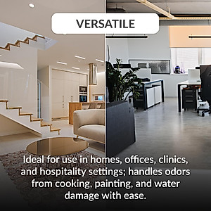 New Comfort SS12000 Commercial Ozone Generator and Air Purifier, 9000 to 20000 mg/hr, Powerful Ozone Generator for Industrial Use