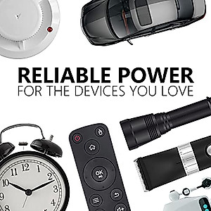 CAMVION 1.5V AA LR6 AM3 Alkaline Batteries, High Capacity Double A Batteries (24 Pack)