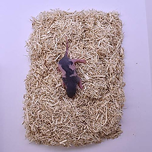 MiceDirect- 25 Rat Fuzzies- Fresh Fast Frozen Fuzzy Food Feeders for Juvenile Corn Snake Monitor Lizard Pet Reptiles