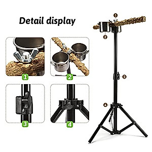 Adjustable Height Bird Perch Stand 43 INCH Parrot Training Perches Metal Bird Play Stand with Feeding Bowls for Small Birds Indoor and Outdoor