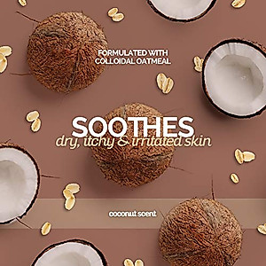 Bark 2 Basics Oatmeal Dog Shampoo, 1 Gallon - Natural Colloidal Oatmeal, Natural Ingredients, Calms Dry Itchy Irritated Skin, Moisturizes and Soothes the Skin and Coat, Professional Grade