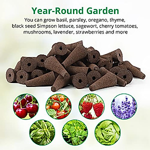 JustSmart 50 Pack Growth Sponges, Replacement Root Growth Sponges Seed Pods Compatible GS1 Series, Seedling Starter Sponges Kit for Hydroponic Growing System Indoor Garden